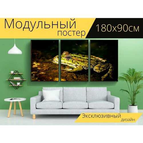 Модульный постер "Ardeche, лягушка, животное" 180 x 90 см. для интерьера