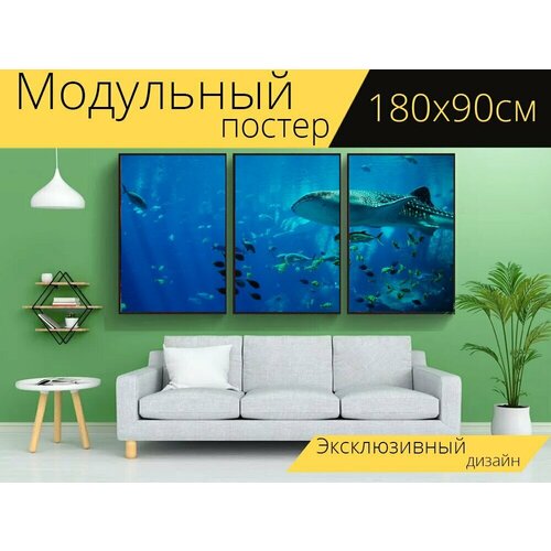 Модульный постер "Китовая акула, акула, аквариум" 180 x 90 см. для интерьера