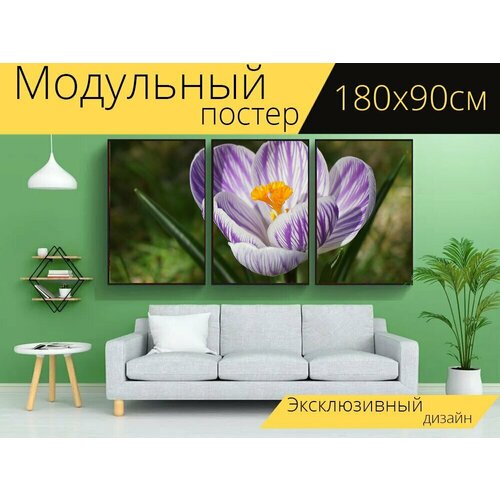 Модульный постер "Шафран, крокус, цветок" 180 x 90 см. для интерьера