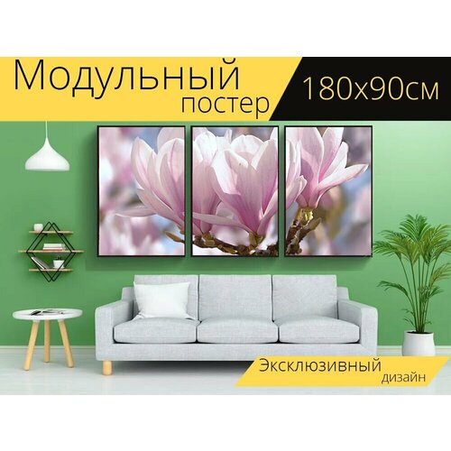 Модульный постер "Тюльпан магнолия, магнолия х соулангиана, дерево" 180 x 90 см. для интерьера
