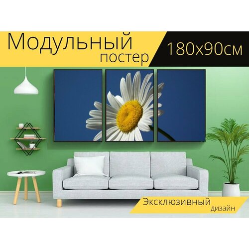 Модульный постер "Цветок, ромашка, белый" 180 x 90 см. для интерьера