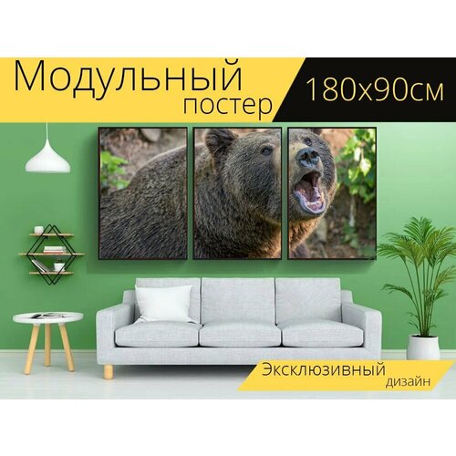Модульный постер "Медведь, бурый медведь, животное" 180 x 90 см. для интерьера