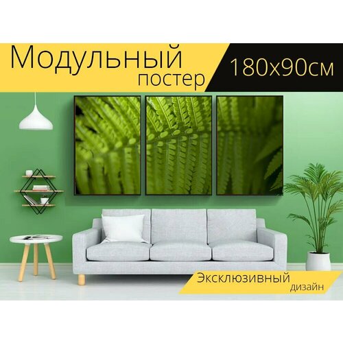 Модульный постер "Папоротник, зеленый, лес" 180 x 90 см. для интерьера