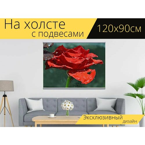 Картина на холсте "Красный, роза, красные розы" с подвесами 120х90 см. для интерьера