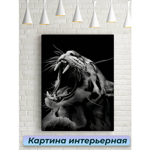 Картины для интерьера 40х60 Тигр белый арт