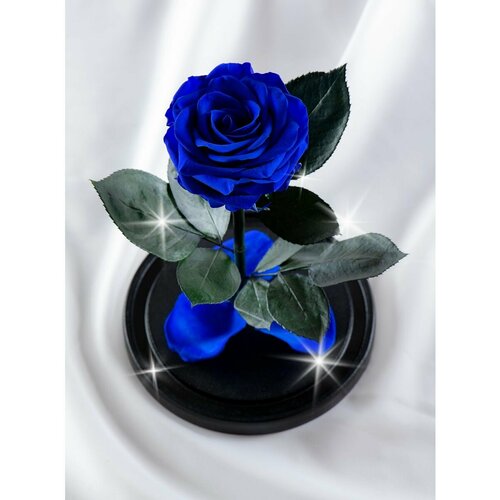 Живая Роза в колбе Therosedome Premium Mini 6 см стабилизированная, цветок в колбе, вечная роза, подарок, декор для интерьера, цвет: синяя