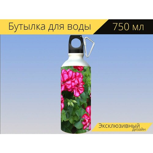 Бутылка фляга для воды "Летом, сад, цветы" 750 мл. с карабином и принтом
