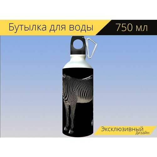 Бутылка фляга для воды "Гревизебра, зебра, африке" 750 мл. с карабином и принтом