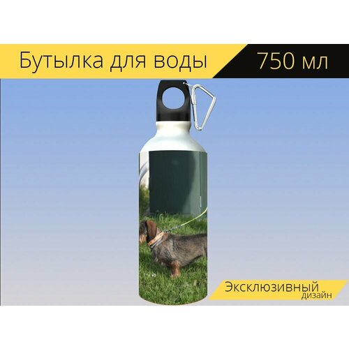 Бутылка фляга для воды "Собака, такса, собачий" 750 мл. с карабином и принтом