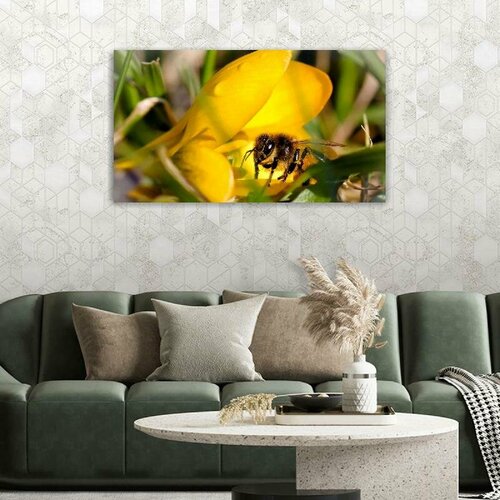 Картина на холсте 60x110 LinxOne "Макро, крокус, жёлтый, цветок" интерьерная для дома / на стену / на кухню / с подрамником