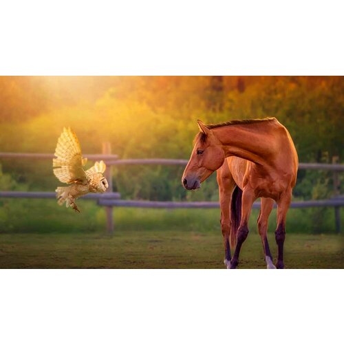 Картина на холсте 60x110 LinxOne "Сова лошадь полёт взгляд" интерьерная для дома / на стену / на кухню / с подрамником
