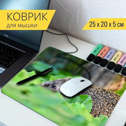 Коврик для мыши с принтом "Ежик, шпора, ханна" 25x20см.