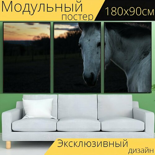 Модульный постер "Лошадь, смотреть, животное" 180 x 90 см. для интерьера