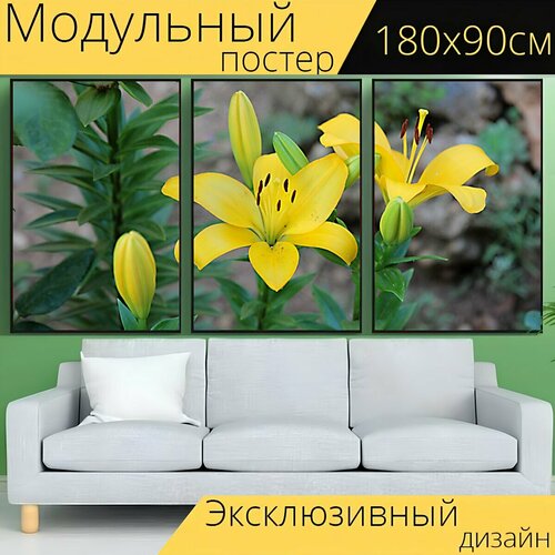 Модульный постер "Желтый, лили, лилии" 180 x 90 см. для интерьера