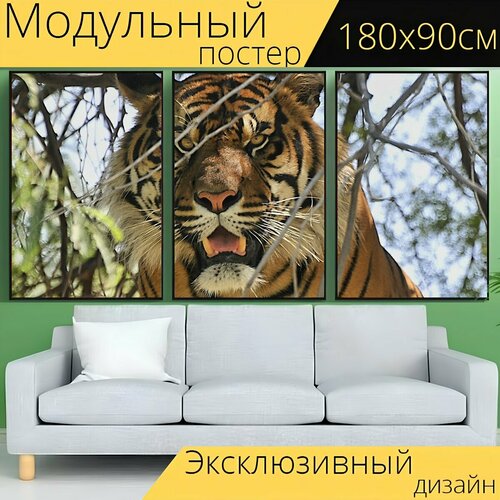 Модульный постер "Тигр, млекопитающее, кошка" 180 x 90 см. для интерьера