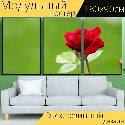 Модульный постер "Розовый, кусты роз, красный цвет" 180 x 90 см. для интерьера