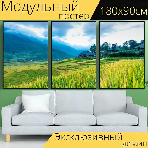 Модульный постер "Пейзаж, террасы, рис" 180 x 90 см. для интерьера