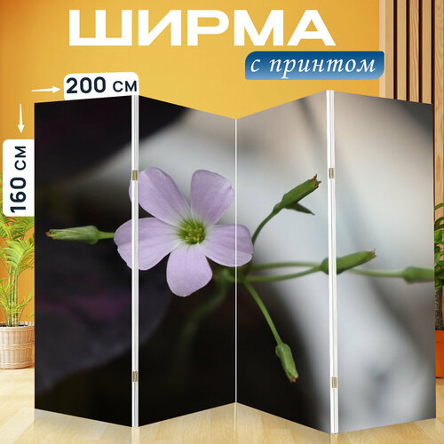 Ширма перегородка с принтом "Фиолетовый, цветок, бутон" на холсте - 200x160 см. для зонирования, раскладная