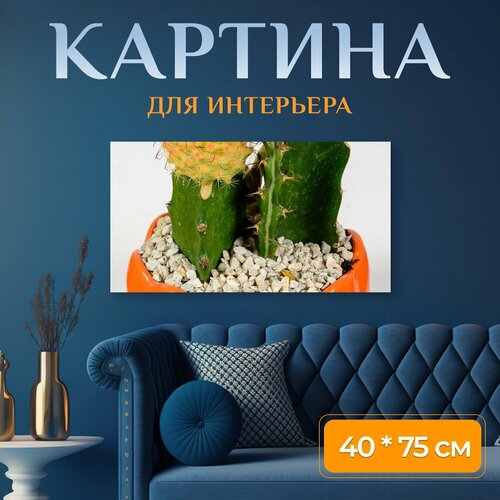 Картина на холсте "Кактус, позвоночник, флора" на подрамнике 75х40 см. для интерьера