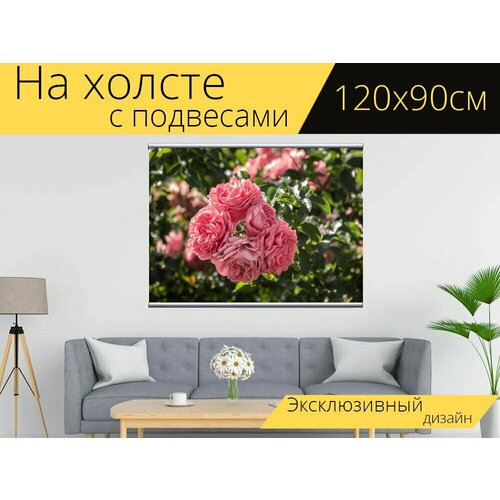 Картина на холсте "Цветок, розы, розовый куст" с подвесами 120х90 см. для интерьера