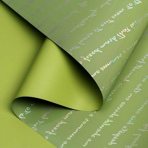 Плёнка для цветов "Письмо" 58см*5м, светло зелёный (комплект из 4 шт)