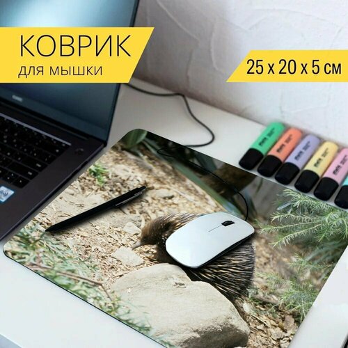 Коврик для мыши с принтом "Муравей ёжик, клювый ёжик, ехидна" 25x20см.