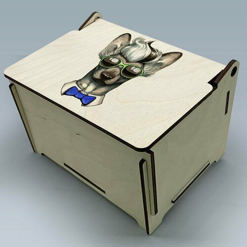 Подарочная коробка шкатулка с крышкой на петлях УФ рисунок размер 16,5x12,5 см животные на стиле - 100