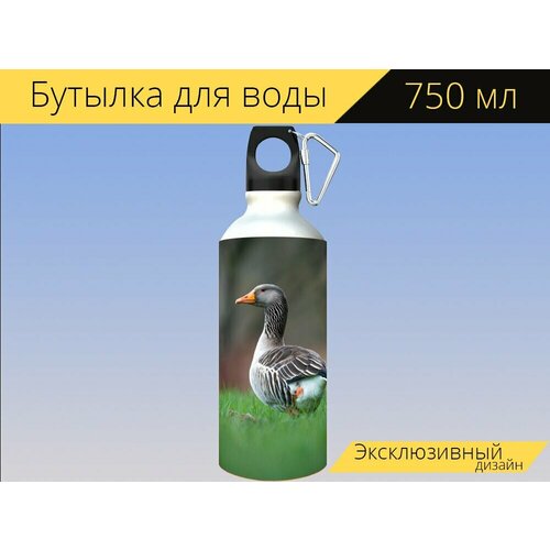 Бутылка фляга для воды "Утка, птица, трава" 750 мл. с карабином и принтом