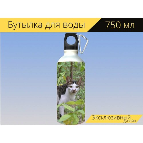 Бутылка фляга для воды "Кошка, животное, дикая кошка" 750 мл. с карабином и принтом