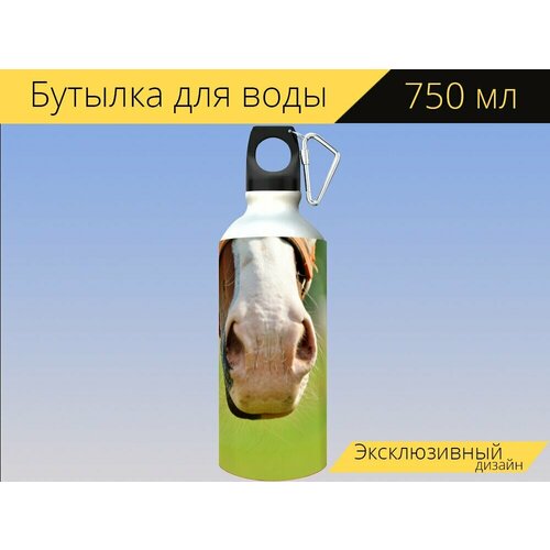 Бутылка фляга для воды "Лошадь, лошадиная голова, ноздря" 750 мл. с карабином и принтом