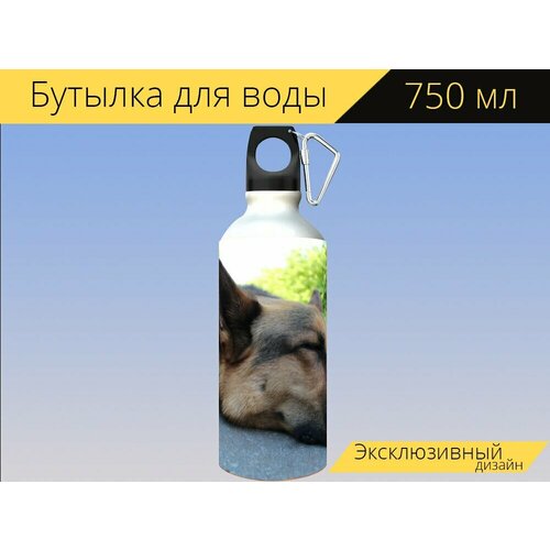Бутылка фляга для воды "Овчарка, немецкая овчарка, сон" 750 мл. с карабином и принтом
