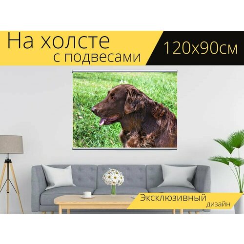 Картина на холсте "Собака, коричневый, ирландский сеттер" с подвесами 120х90 см. для интерьера