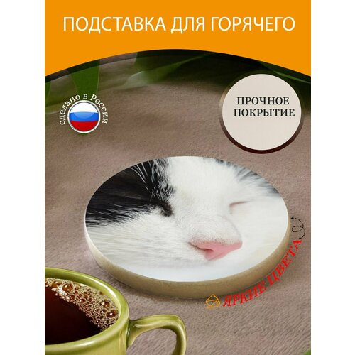 Подставка под горячее "Кот, домашнее животное, черно белая кошка" 10 см. из блого мрамора