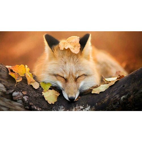 Картина на холсте 60x110 LinxOne "Осень листья лиса лисица" интерьерная для дома / на стену / на кухню / с подрамником