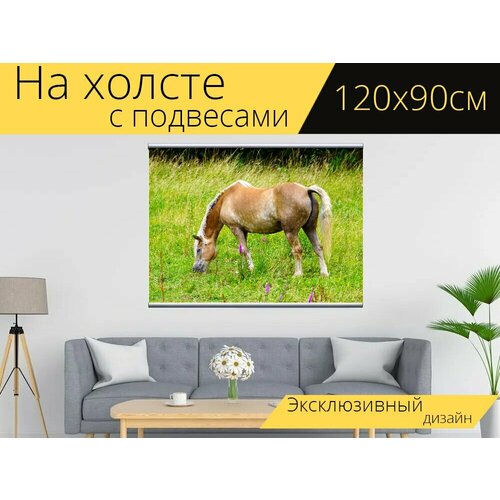 Картина на холсте "Лошадь, луг, животное" с подвесами 120х90 см. для интерьера