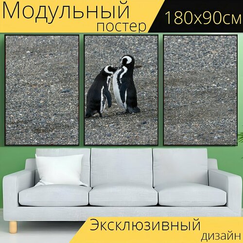 Модульный постер "Пингвины, пингвин, природа" 180 x 90 см. для интерьера