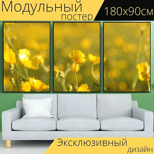 Модульный постер "Полевые цветы, желтый, поля" 180 x 90 см. для интерьера