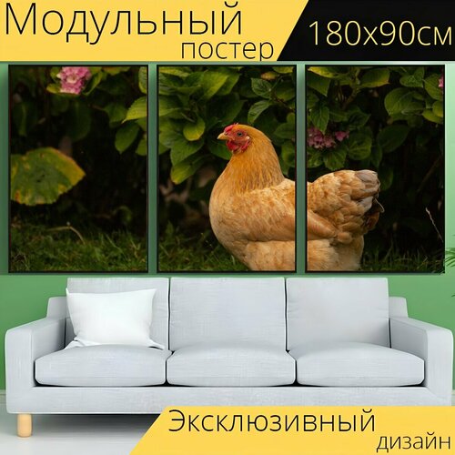 Модульный постер "Курица, сад, ферма" 180 x 90 см. для интерьера