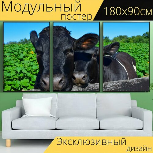 Модульный постер "Коровы, объятия, счастливый" 180 x 90 см. для интерьера