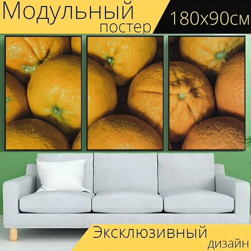 Модульный постер "Лимон, природа, расходы" 180 x 90 см. для интерьера