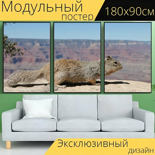 Модульный постер "Луговые собачки, грызун, большой каньон" 180 x 90 см. для интерьера