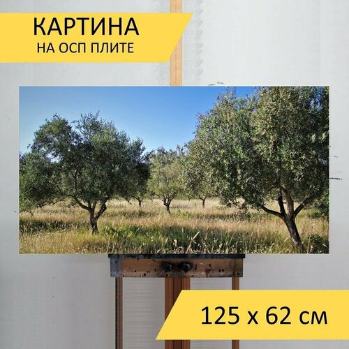 Картина на ОСП 125х62 см. "Оливковое дерево, оливковая роща, оливки" горизонтальная, для интерьера, с креплениями