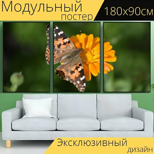 Модульный постер "Бабочка, цветок, календула" 180 x 90 см. для интерьера