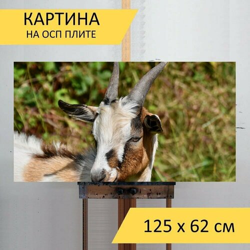 Картина на ОСП 125х62 см. "Коза, козел, козла рога" горизонтальная, для интерьера, с креплениями