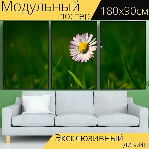 Модульный постер "Цветок, ромашка обыкновенная, ботаника" 180 x 90 см. для интерьера