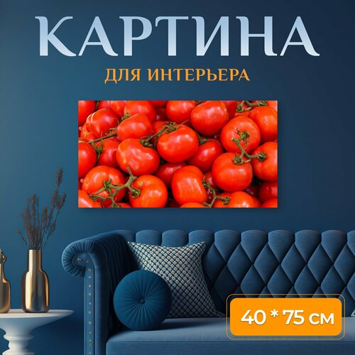 Картина на холсте "Еда, помидоры, здоровый" на подрамнике 75х40 см. для интерьера