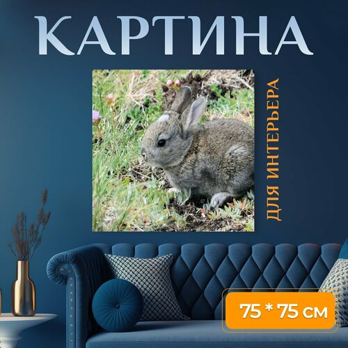 Картина на холсте "Кролик, заяц, пушистый зверек" на подрамнике 75х75 см. для интерьера