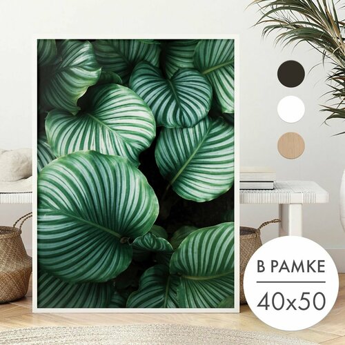 Постер 40х50 В рамке "Тропические зеленые листья" для интерьера