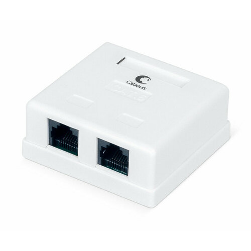 Cabeus WS-8P8C-Cat.6-2 Розетка компьютерная RJ-45(8P8C), категория 6, двойная, внешняя, Dual IDC