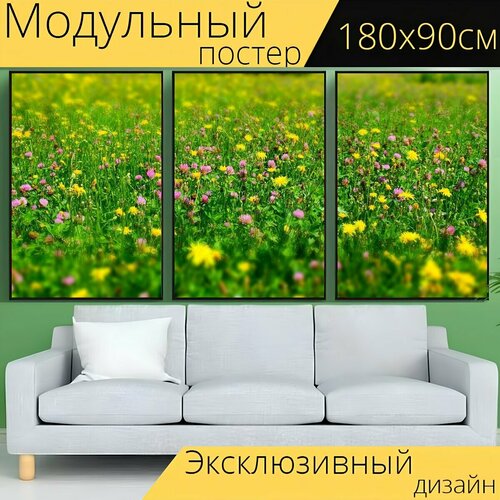 Модульный постер "Луг, цветочный луг, полевые цветы" 180 x 90 см. для интерьера